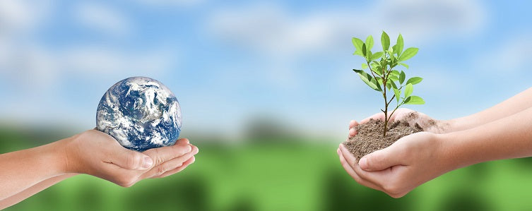 The Scientific Facts: Why Earth Protection Matters