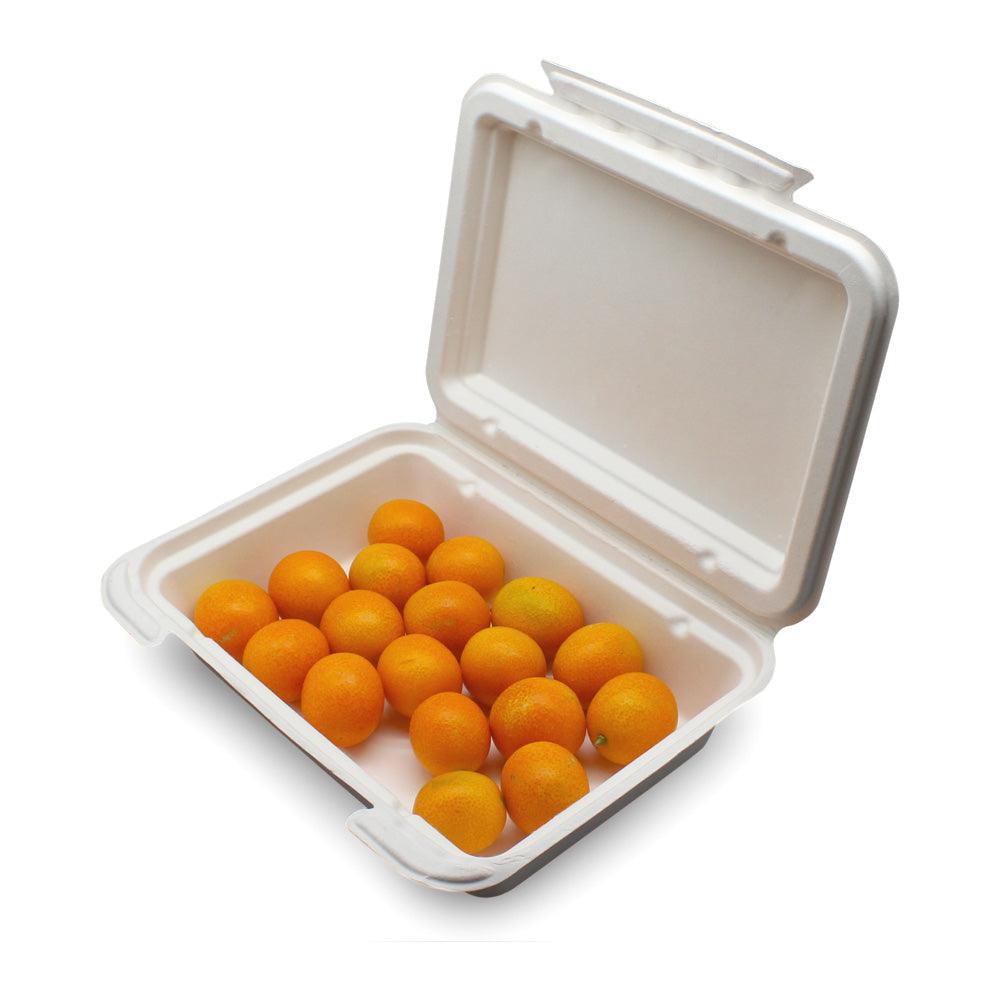 Eco-Friendly Rectangular Bagasse Clamshell
